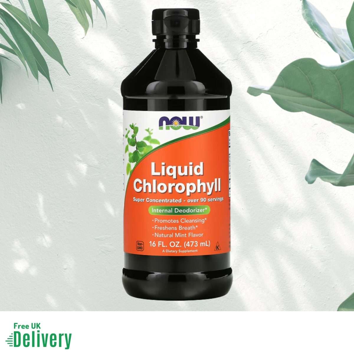 Now Foods Chlorophyll Liquid Natural Mint Flavour 473ml - Synergy Health